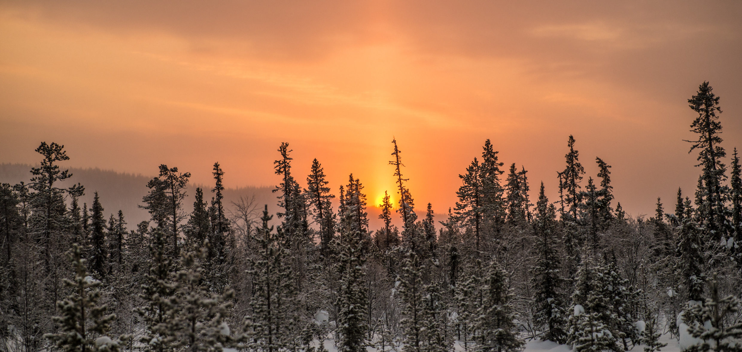 Sápmi - Land der Mitternachtssonne - Zeitenreise.net