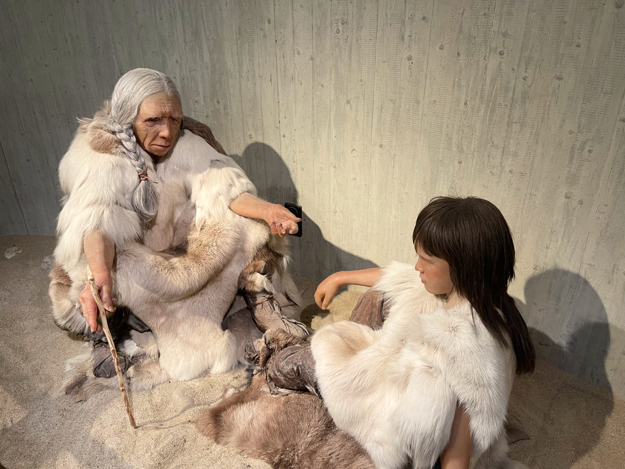 Hundetag im Neanderthal-Museum in Mettmann - Zeitenreise.net