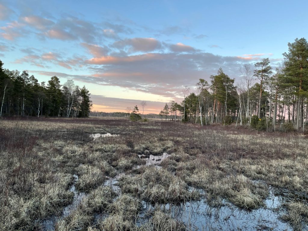 Wandern im Nationalpark Store Mosse - Zeitenreise.net